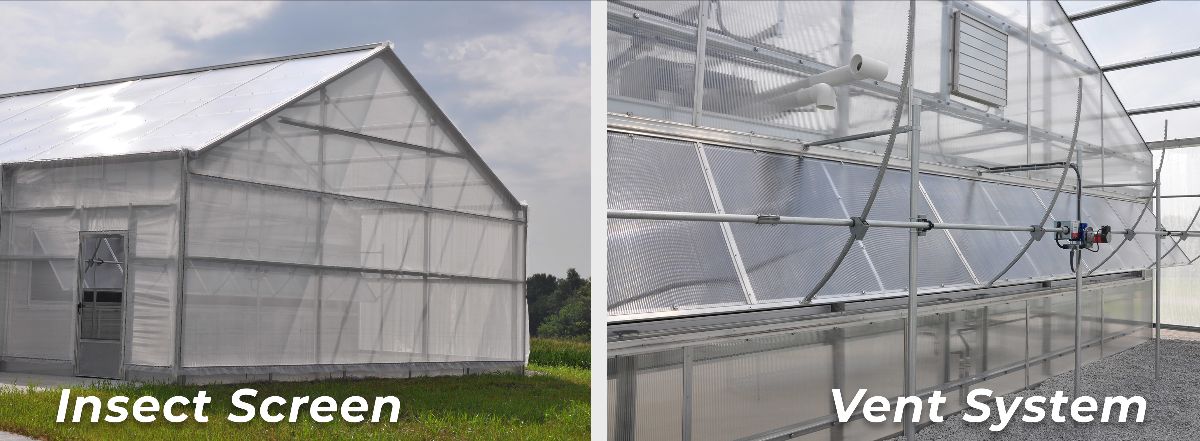 The Spring, The Bugs, The Persistence by Mike H. - Hummert International