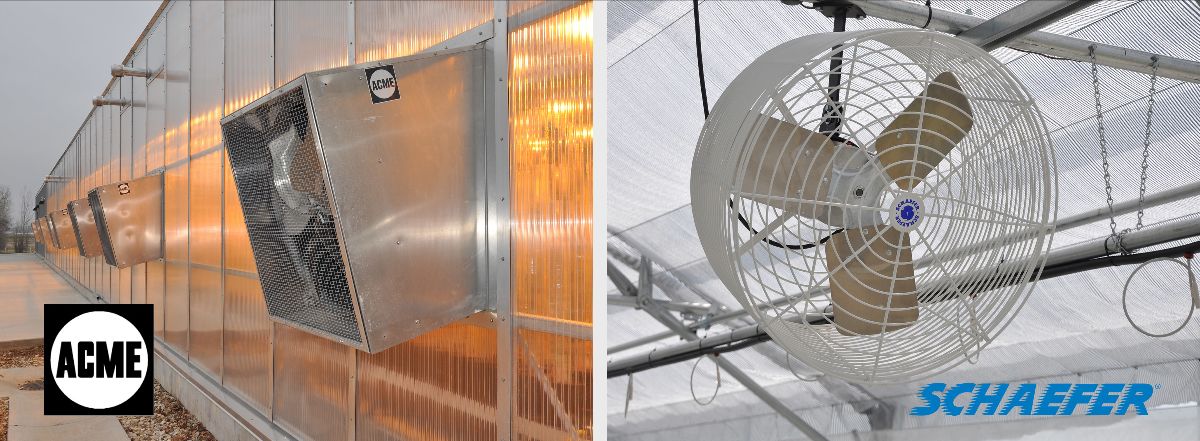 The Spring, The Bugs, The Persistence by Mike H. - Hummert International