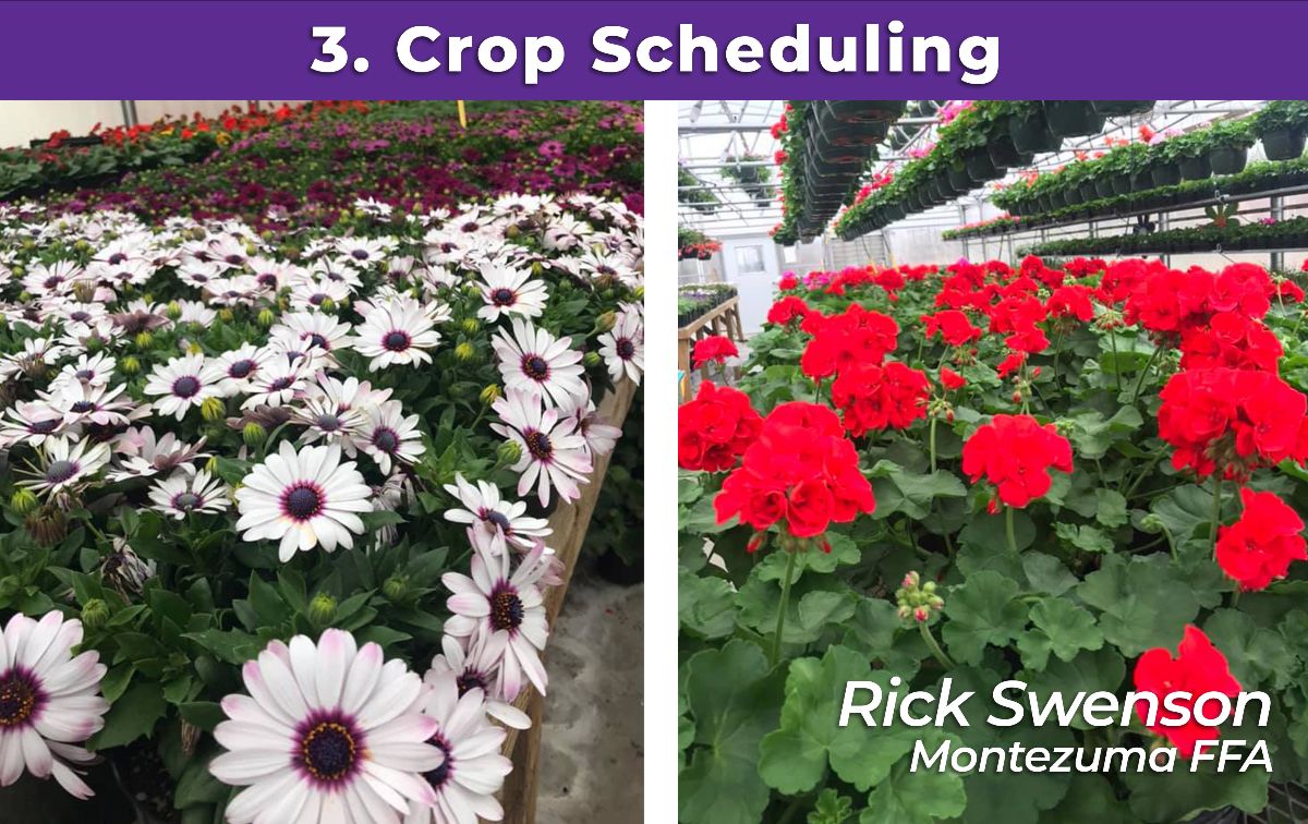 It's Time for a New Spring by Mike H. - Hummert International