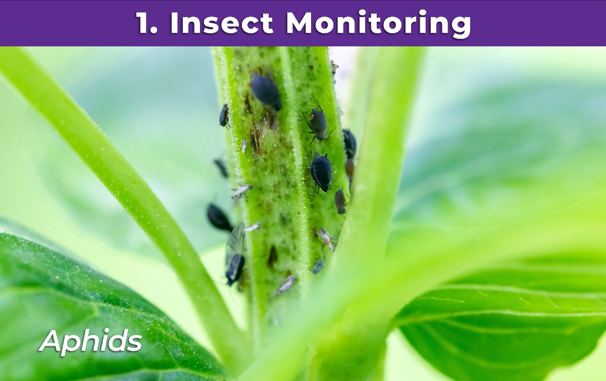 It's Time for a New Spring by Mike H. - Hummert International