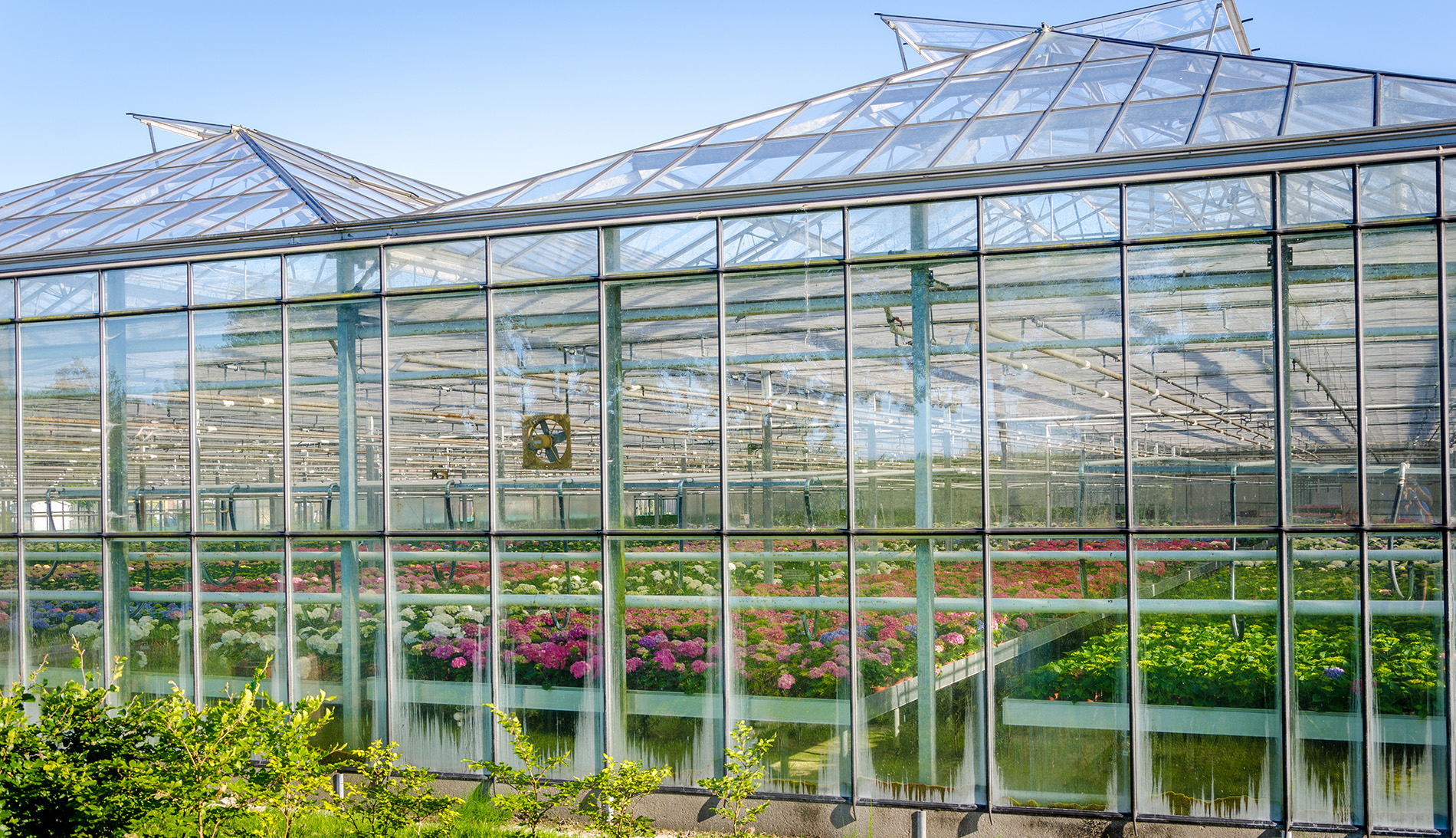 Home - Hummert International