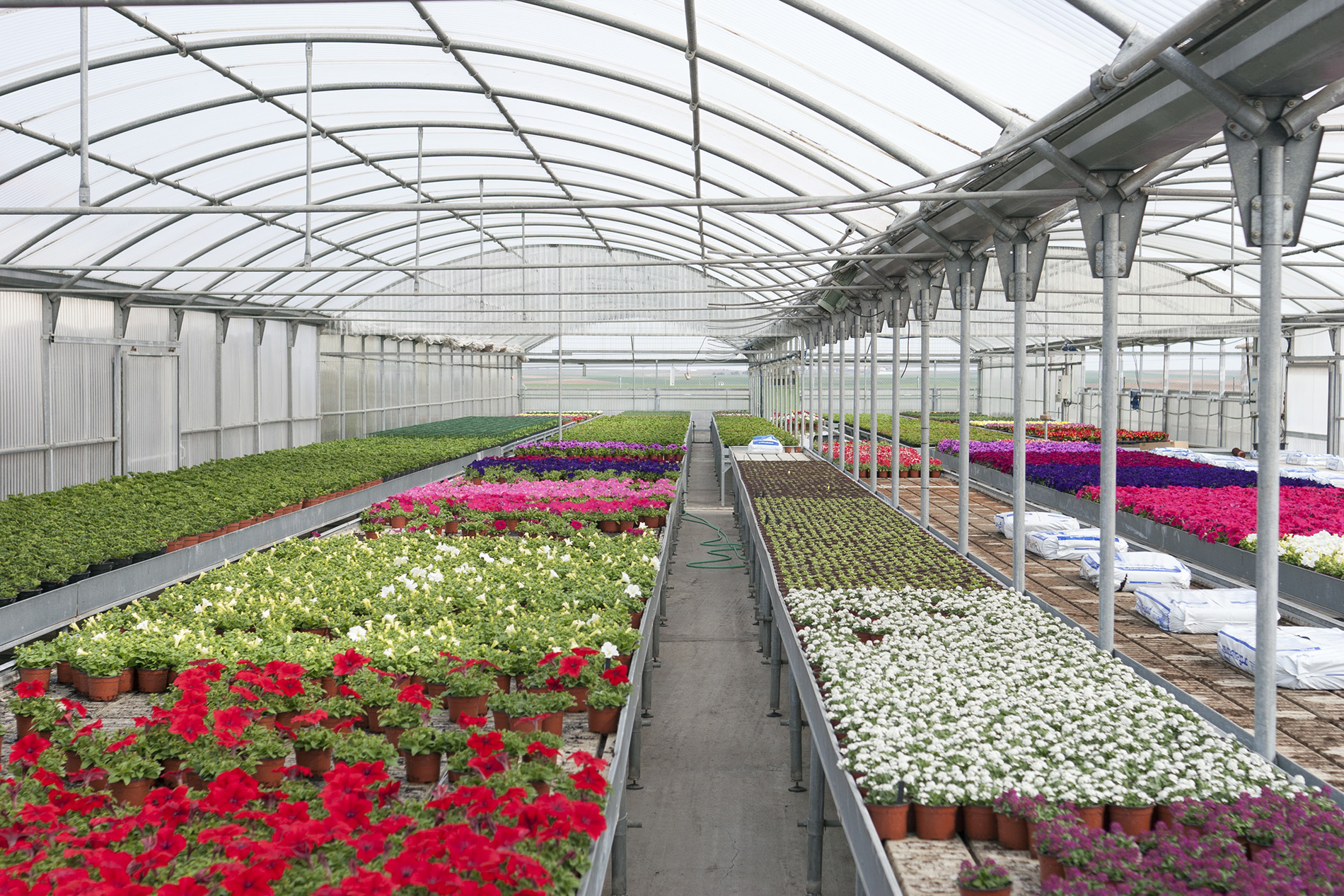 Spring Time Preparation and Greenhouse Checklist by Mike H. - Hummert ...