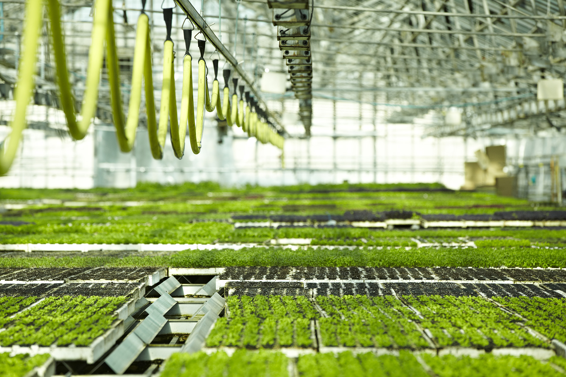 It's Time for a New Spring by Mike H. - Hummert International