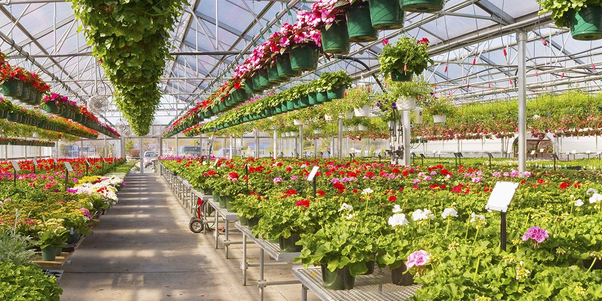 HUMMERT U - October GEMS - Hummert International